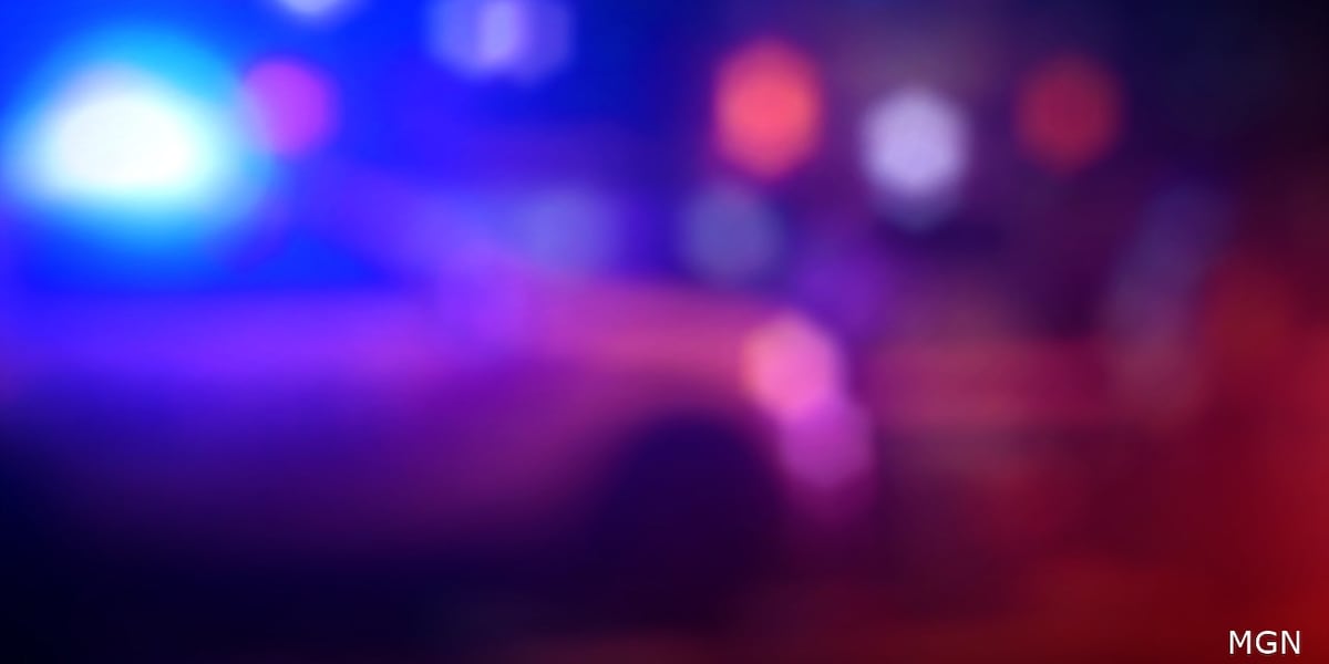 Sheriff: Suspect in custody after domestic assault incident, police ... Sheriff: Suspect in custody after domestic assault incident, police ...