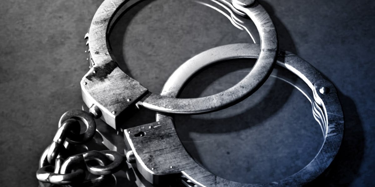 2 Juveniles Accused Of Stealing Multiple Guns From Paducah Business